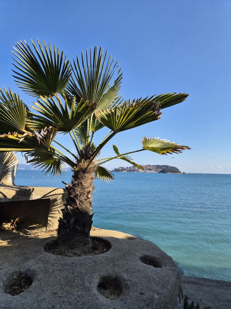 거제 1박 3식 근처 가볼 만한 곳ㅣ 어머님과 함께 걷기 좋은 「매미성」 : 네이버 블로그