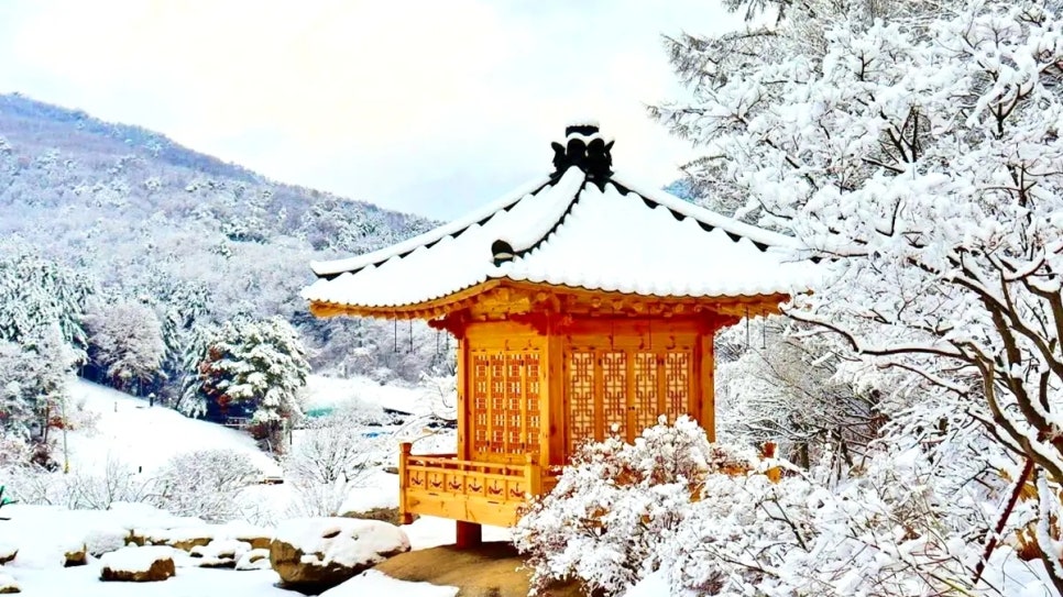 양평 메덩골정원 - 설경 위로 피어나는 철학과 예술의 향연, 수도권 근교 인문학 힐링 : 네이버 블로그