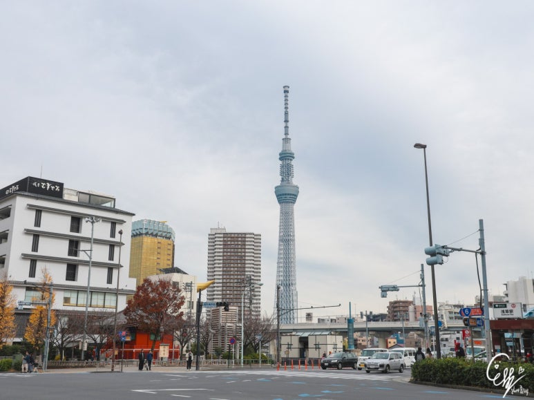 일본 유심 이심 추천 eSIM 무제한 도쿄여행 : 네이버 블로그