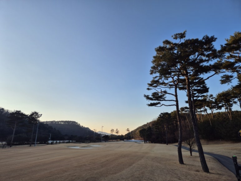 여주에 위치한 골프장 소나무 전지작업 3일차 현장 기록 : 네이버 블로그