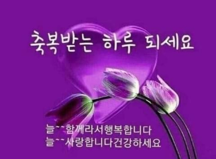 양갱.정과 새해선물만들기 원데이 : 네이버 블로그