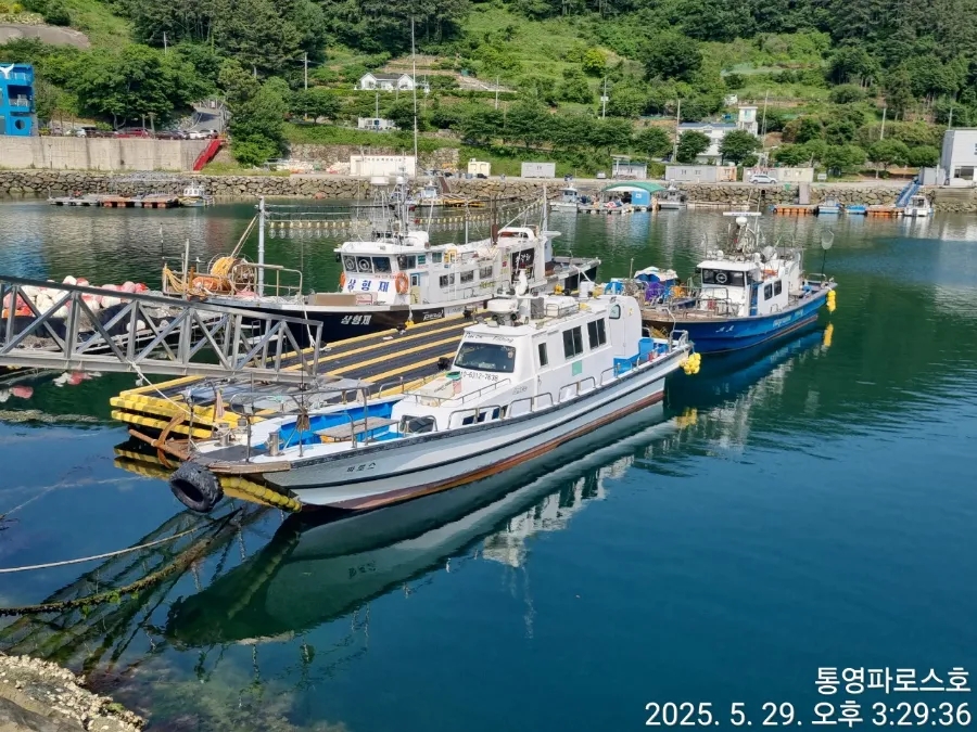 통영 볼락낚시 조황, 70~80% 산란 완료, 날씨만 받쳐주면 OK : 네이버 블로그