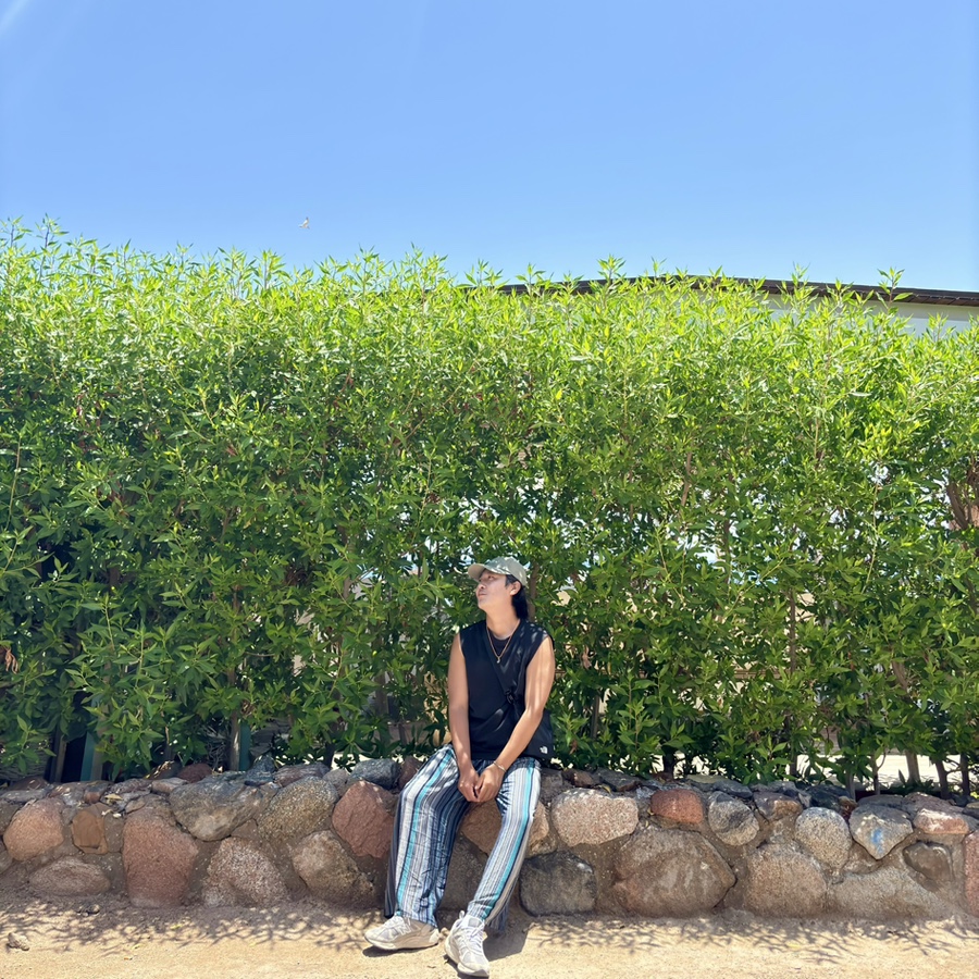 [두발로 뚜벅 세계여행 D+95] 이집트 Day10 / 다합, 일가든 식당, 일가든 뷰, 삼겹살 파티, 다합 일상 : 네이버 블로그