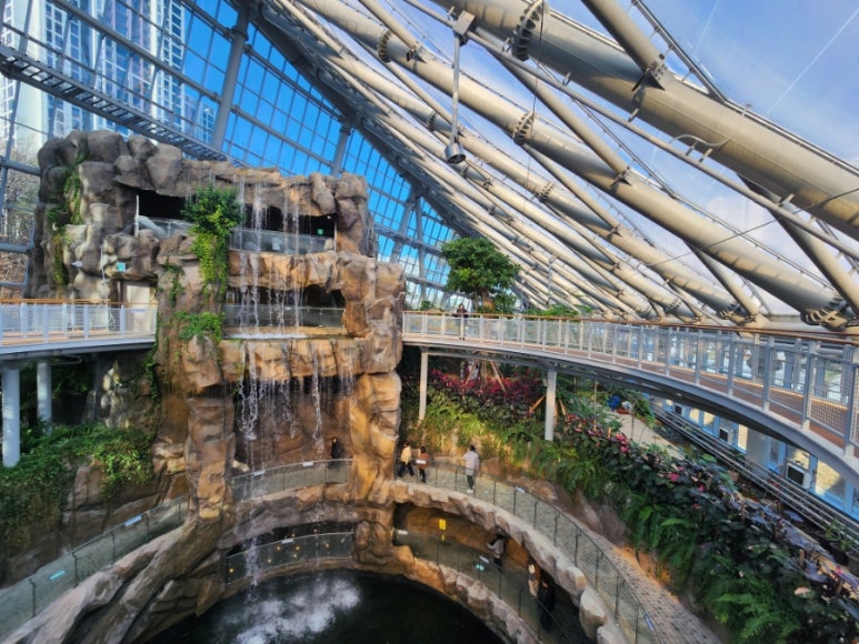 포항 나들이, 조카도 보고 독감예방주사도 맞고 환호식물원 방문, 돌아오는 길에 들른 우양미술관 : 네이버 블로그