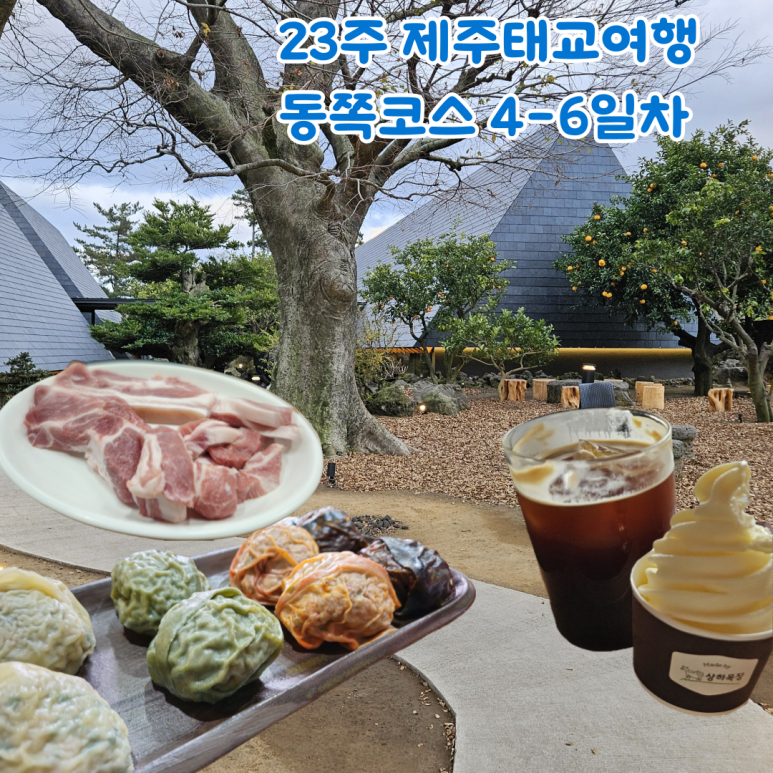 제주태교여행 5박6일코스 (엠버퓨어힐 뷔페, 룸서비스, 장인의집 만두, 유지커피웍스, 사라봉일몰, 김희선몸국) : 네이버 블로그