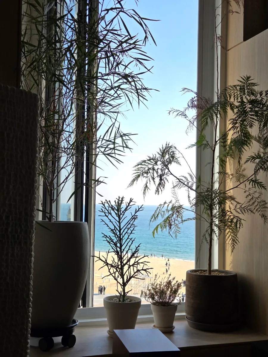 부산 해운대 오션뷰 카페 * 워킹홀리데이 해운대 : 네이버 블로그