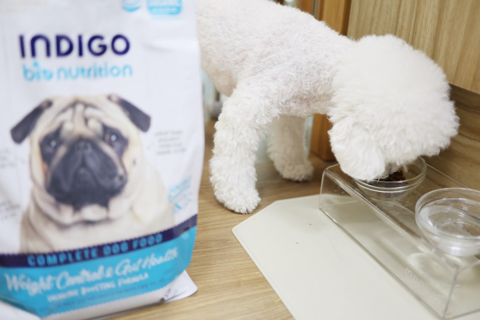 강아지가수분해사료추천 인디고 바이오뉴트리션 : 네이버 블로그
