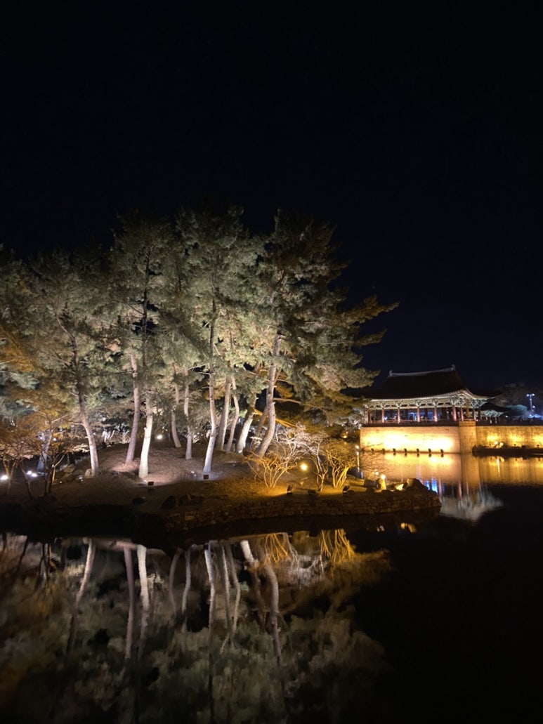 2026 새해 기념 겨울 경주 여행(ෆ˙ᵕ˙ෆ) ꫂ 엄마랑 아빠랑 APEC 경주 여행(+애견동반)_첨성대/대릉원/월성/황리단길 ...