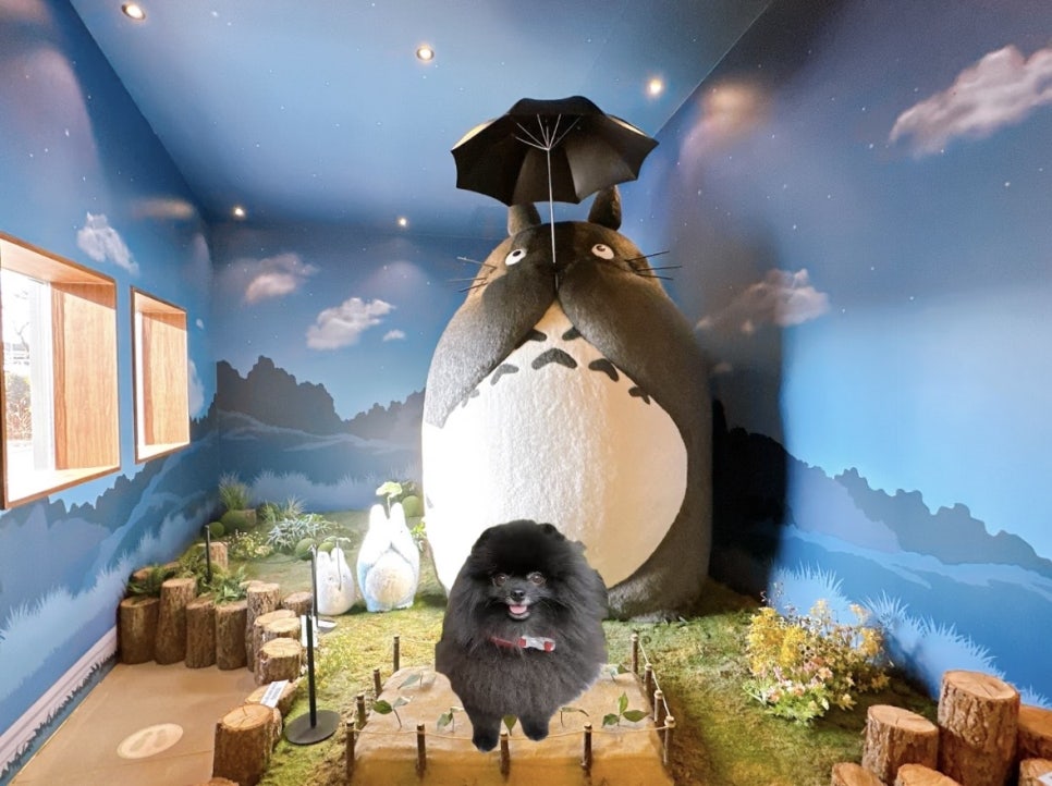 제주 송당 동화마을 송당리 도토리숲 강아지 산책코스 : 네이버 블로그