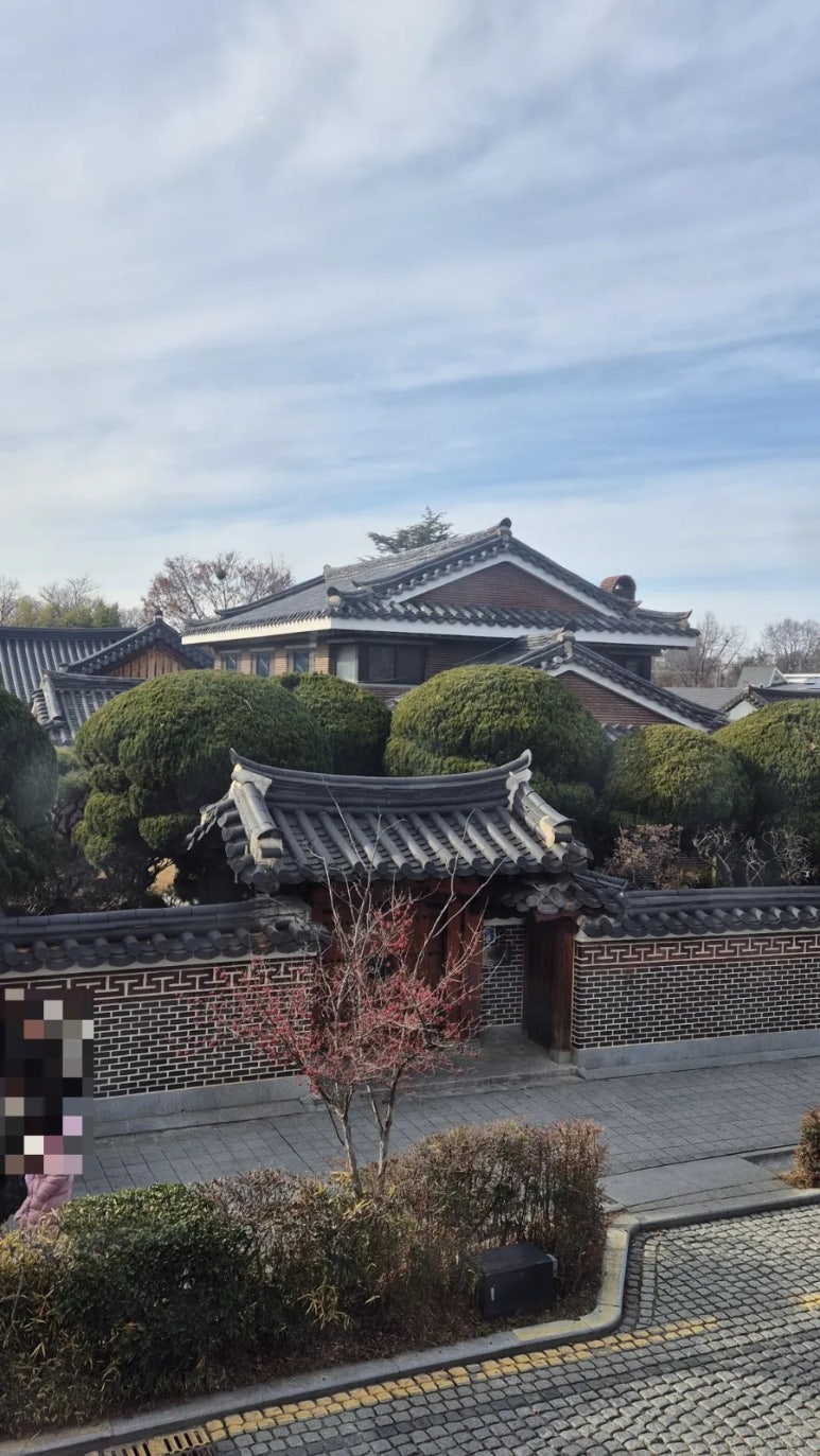 전주 볼거리와 먹거리가 많은 2박3일 여행일정 공유 25.12.31 - 26.1.2 : 네이버 블로그
