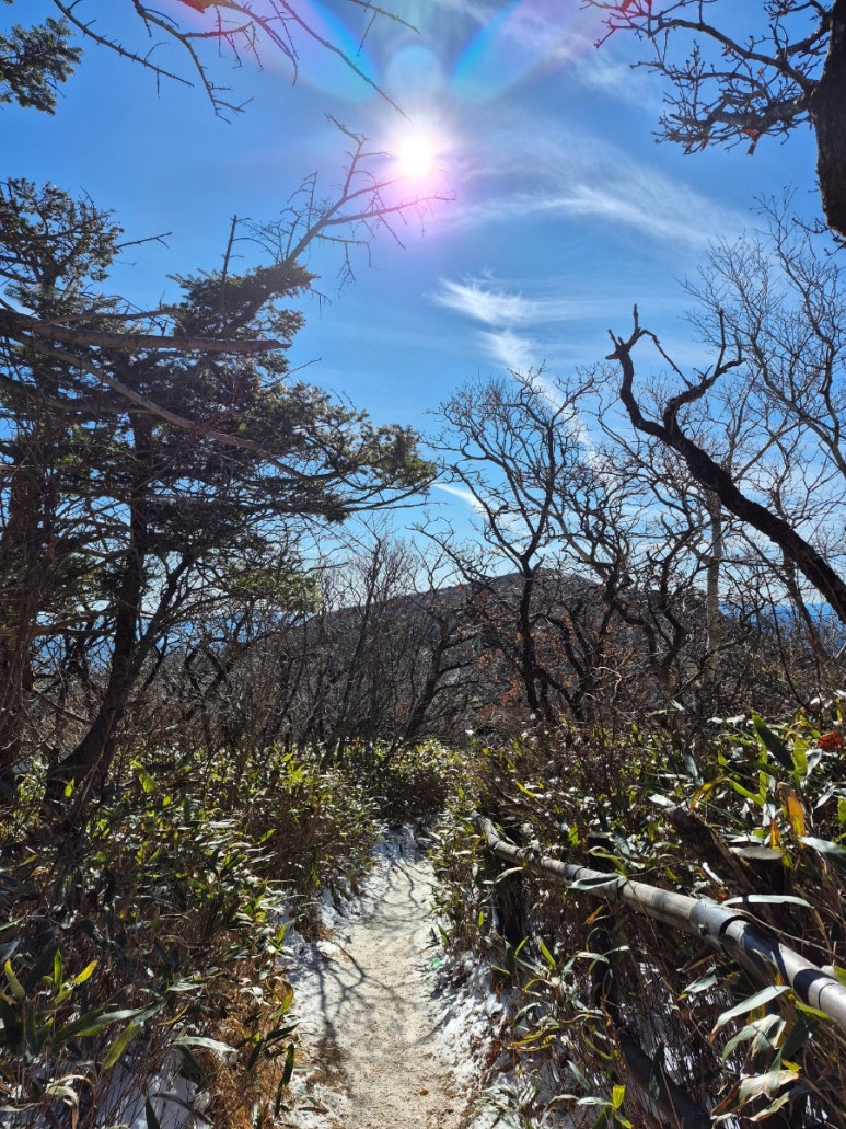 설천봉 향적봉 눈꽃과 눈밭 : 네이버 블로그
