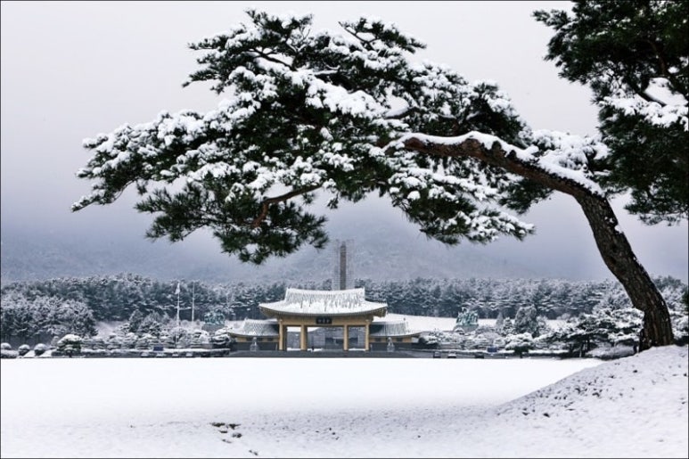 [2년 전 오늘] 하얀 현충원 - 대전 : 네이버 블로그