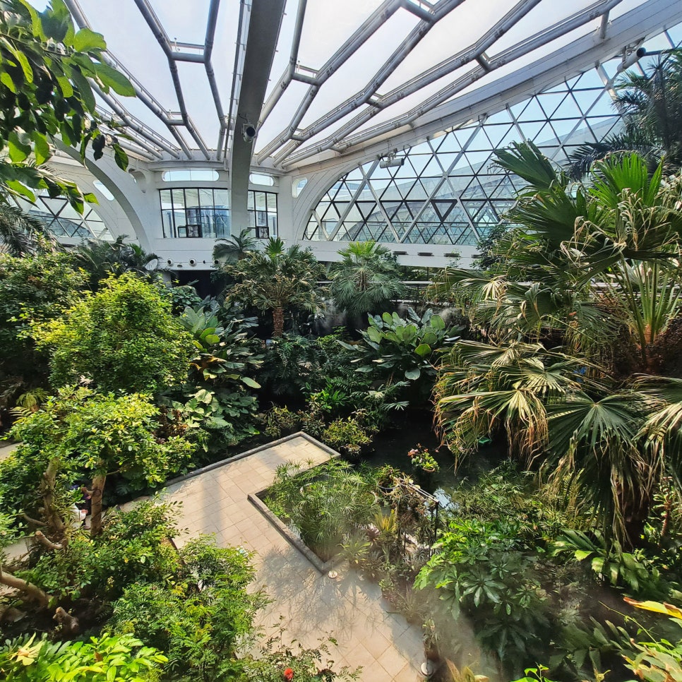 혼자 떠나는 힐링여행 겨울에도 따뜻한 서울 식물원 온실 산책 혼자 걷는 서울 식물원 온실 힐링여행 이용정보 : 네이버 블로그