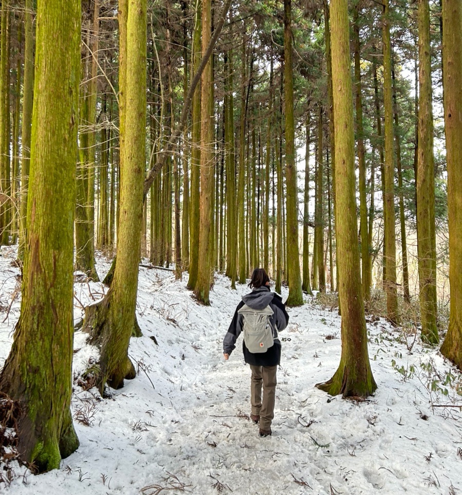 한라산 통제를 곁들인 겨울 제주 : 네이버 블로그
