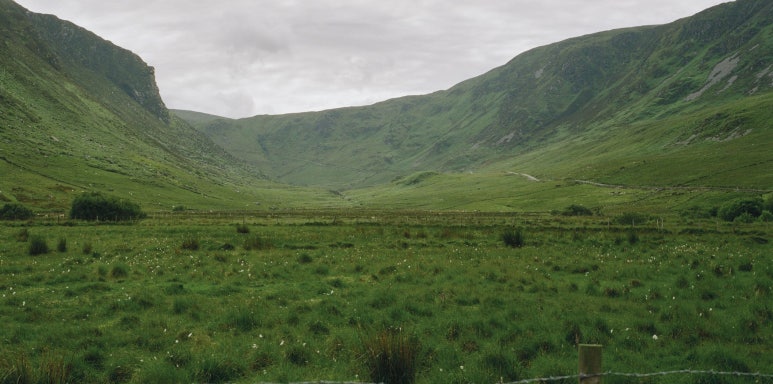 JOHN ALEXANDER SKELTON CXIX : 네이버 블로그