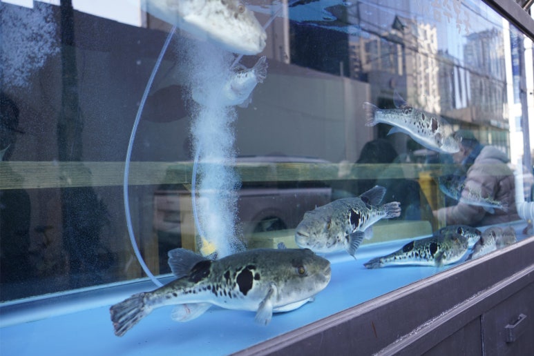 부산 금수복국 해운대 본점 :: 주말 점심 방문기(주차, 웨이팅 정보 O, 왜 부산이 복국으로 유명해졌을까?) : 네이버 블로그
