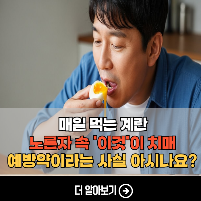 매일 먹는 계란, 노른자 속 이것이 치매 예방약이라는 사실 아시나요? : 네이버 블로그