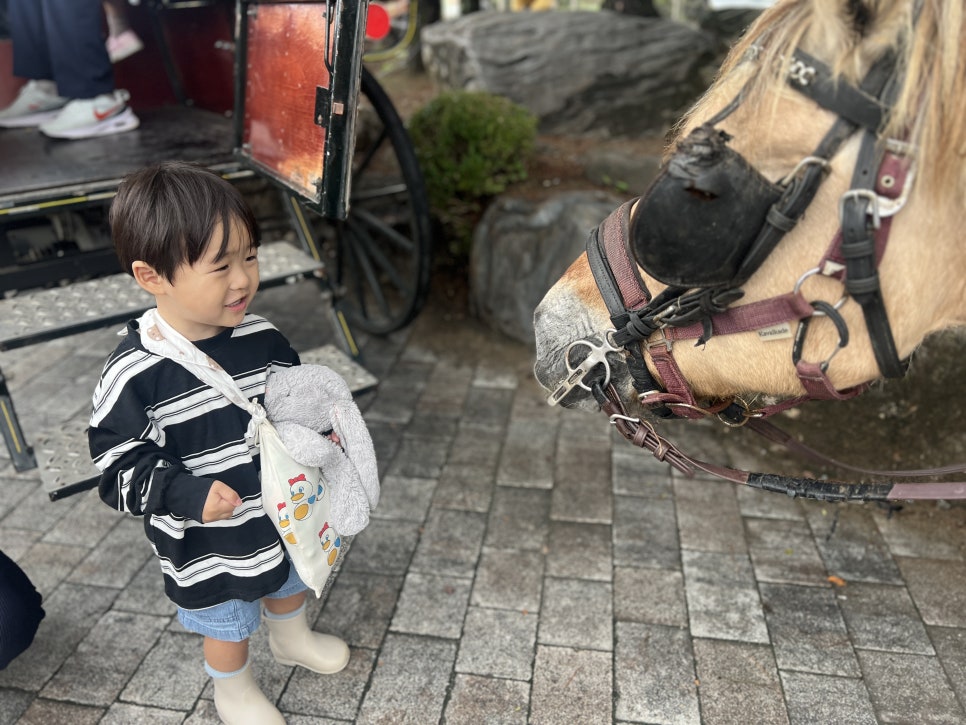 단양 아이와 가볼만한곳 단양팔경 도담삼봉 말마차 타기 : 네이버 블로그