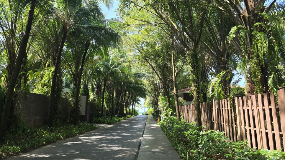 푸꾸옥인터컨티넨탈 헬스장 마트 편의점 메르카도 위치 : 네이버 블로그