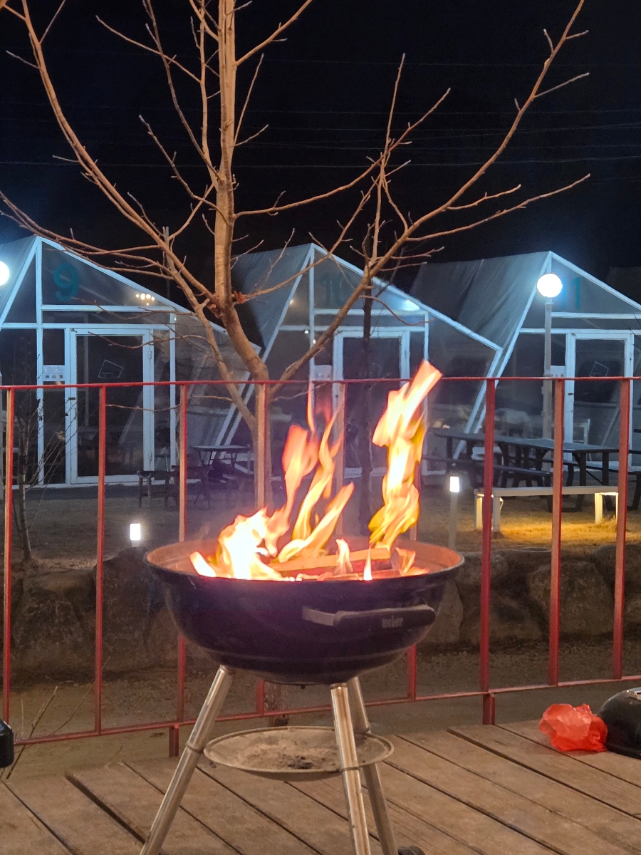 속초 여행 / 속초 밤하늘 글램핑 / 애견 동반 글램핑 : 네이버 블로그