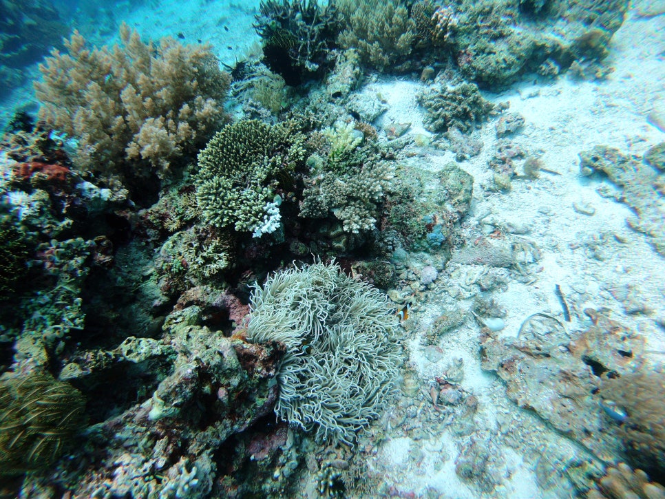 발리카삭 섬 즐기는 방법들 : 네이버 블로그