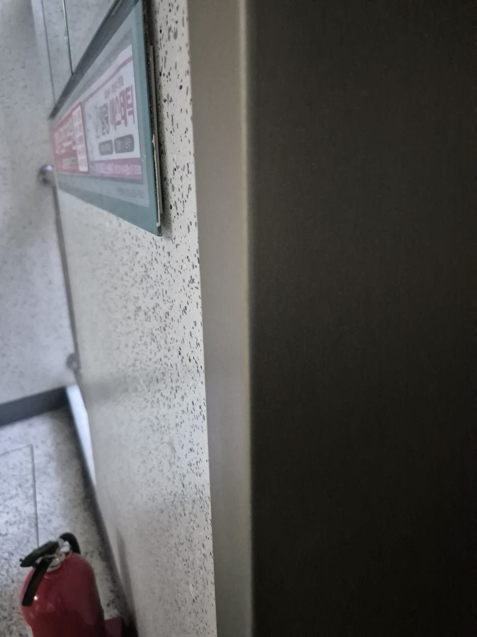 관리사무소도 놀란 엘리베이터 스크래치 복원 비포&애프터 : 네이버 블로그