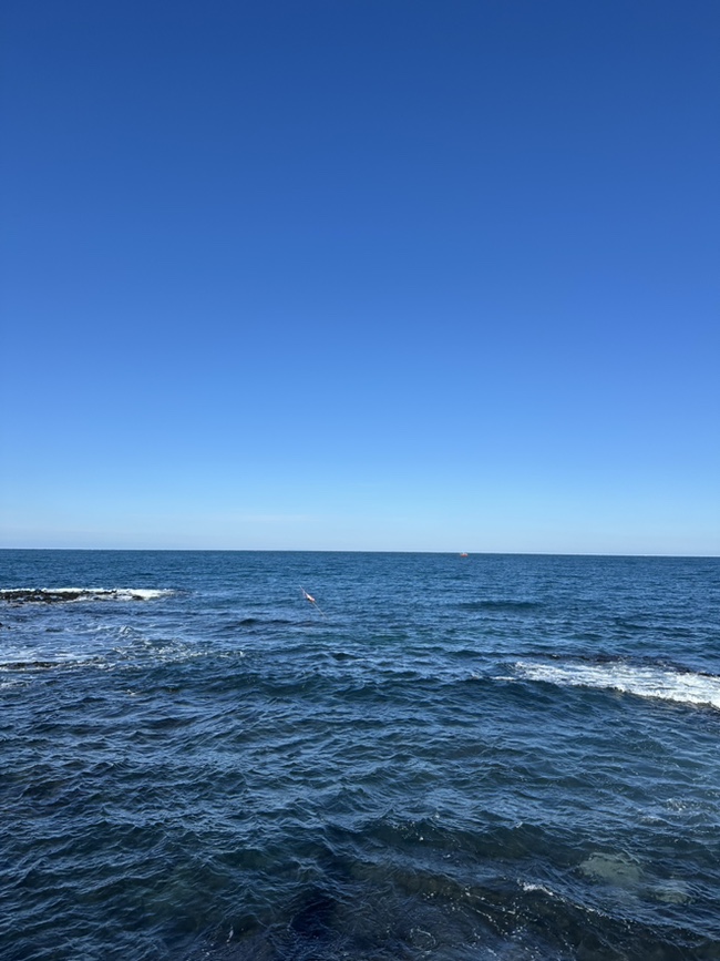 제주대 학점교류: 제주대생이 되다 : 네이버 블로그