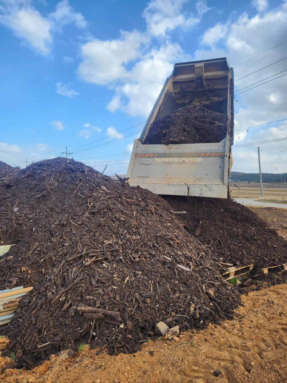 소나무파쇄목 입고 ,숙성 7년 이상 : 네이버 블로그