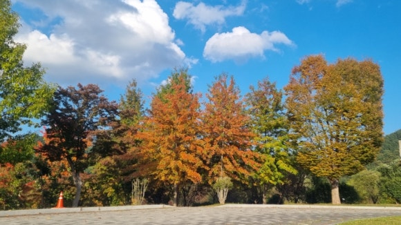 단짝 친구 26.1.9 : 네이버 블로그