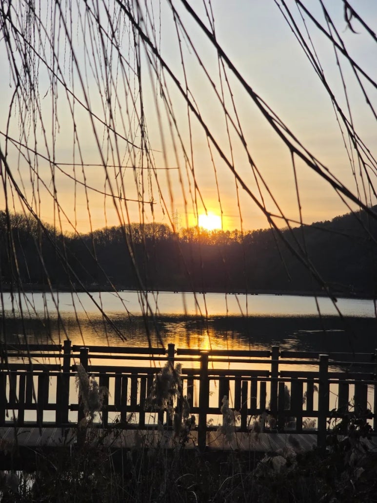 2026 첫 주간일기/해맞이,모그에,전시준비 : 네이버 블로그