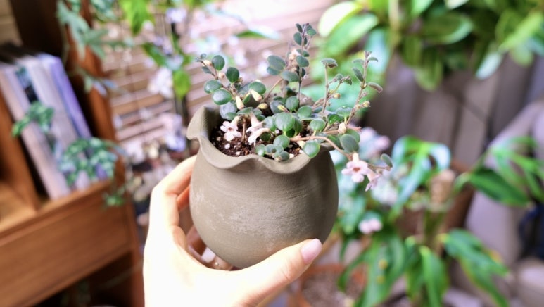 새집^^ : 네이버 블로그