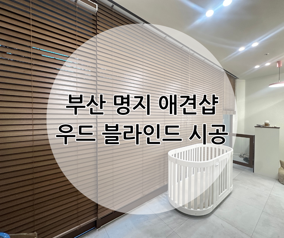 부산 명지 다니아미애견샵 우드블라인드 시공사례"공간안에 커튼 블라인드" : 네이버 블로그