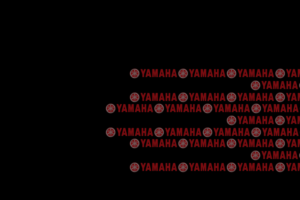 [정비] 야마하 YZF-R1M / 야마하 용산점 / 밸브간극 / 냉각수 누수 / 중고점검 : 네이버 블로그