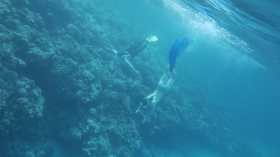 구명조끼 필수 수영 왕초보 → 온가족 프리다이버! 보홀 나투어 발리카삭 호핑의 차이 : 네이버 블로그