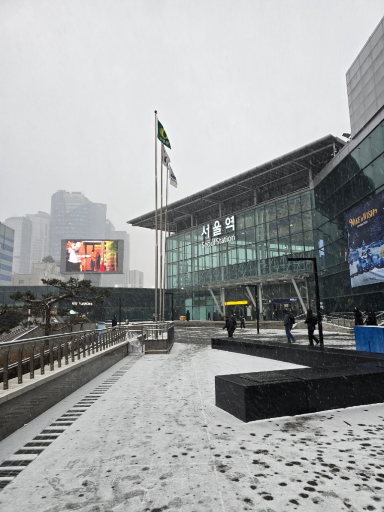 반월성 주변을 바람과 함께 걷다(2026.1.13.) : 네이버 블로그