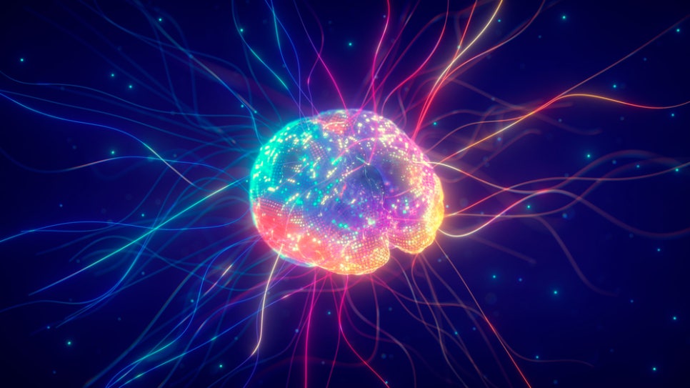 소비자 행동 데이터를 기반으로 한 PR : 네이버 블로그