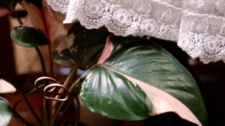 하는짓이 다 이뻐^^ : 네이버 블로그