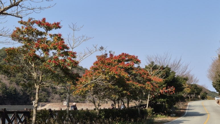 삐에르 신부님(Abbé Pierre) : 네이버 블로그