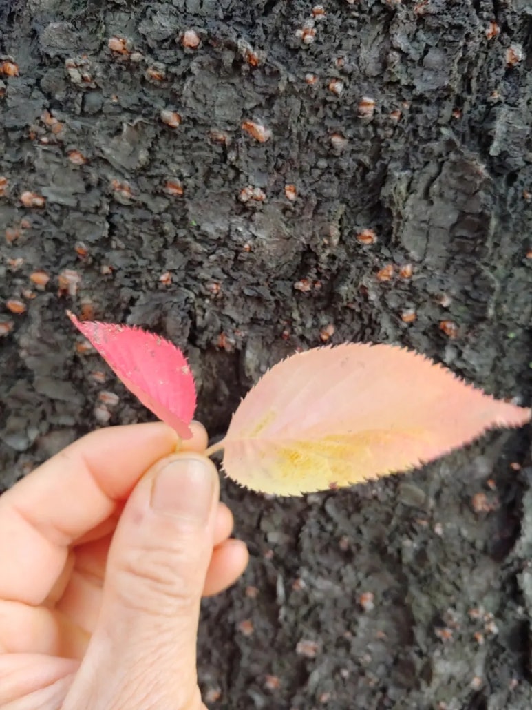 [글쓰기] 그때 그날! : 네이버 블로그