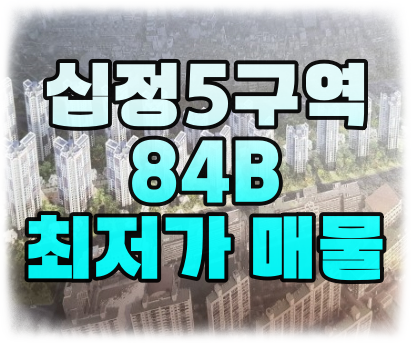 (급매)십정5구역 84B 보기 힘든 프리미엄 : 네이버 블로그