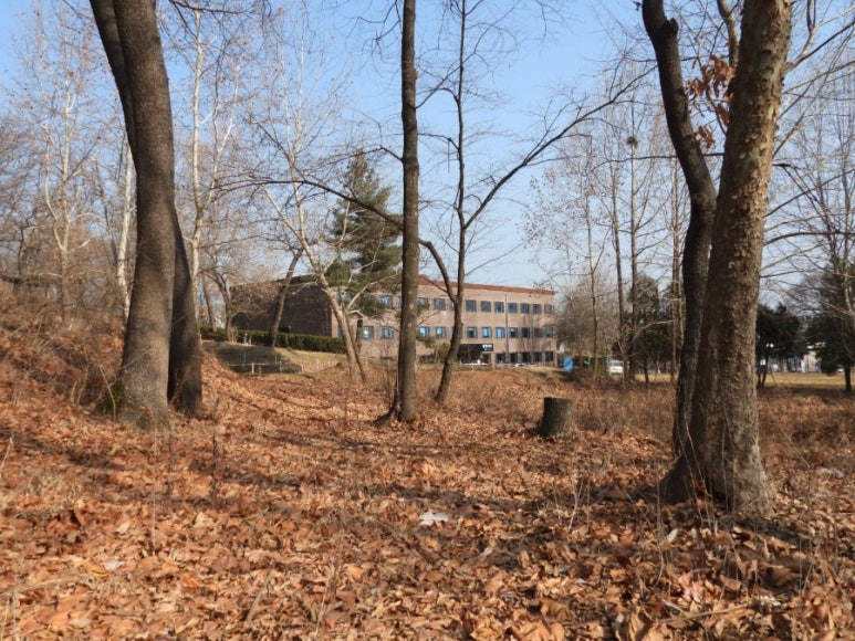 26-01-17 SK스카이뷰아파트 & 서호천 & 서호공원 & 경기상상캠퍼스 : 네이버 블로그