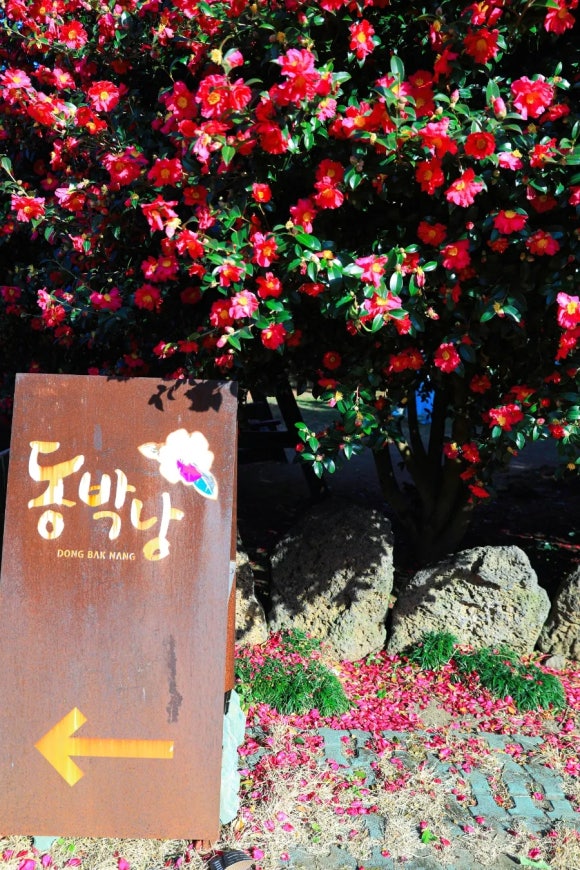 동박낭 ~ : 네이버 블로그