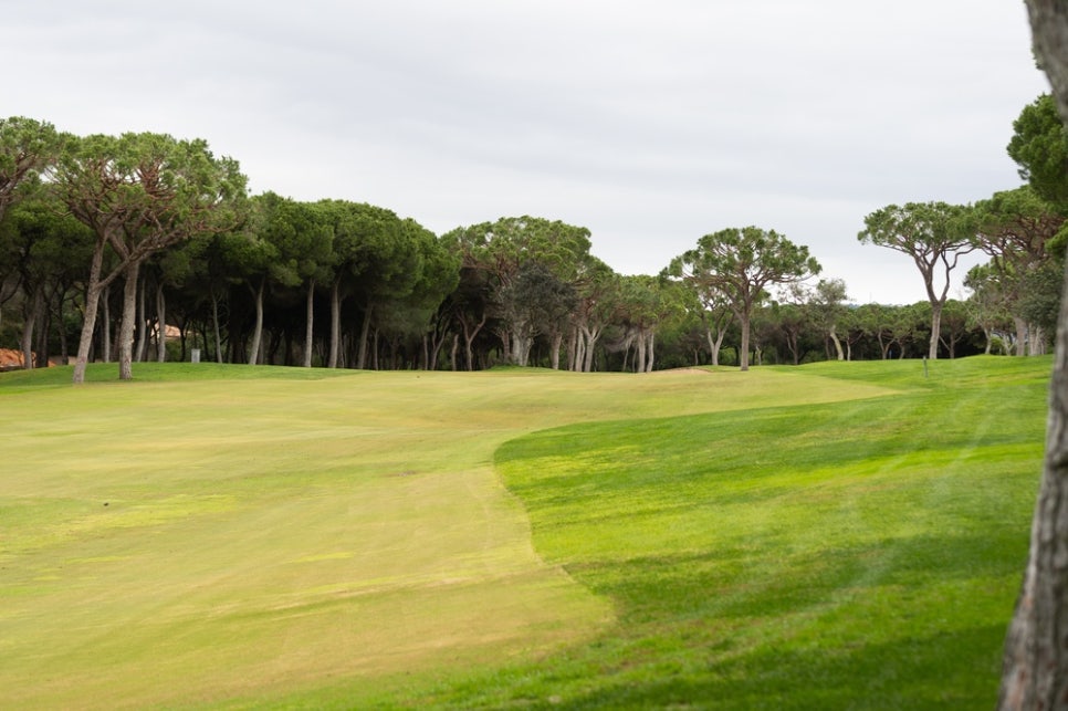 솔모로CC 회원권 가성비로 주목받는 아름다운 골프장 : 네이버 블로그