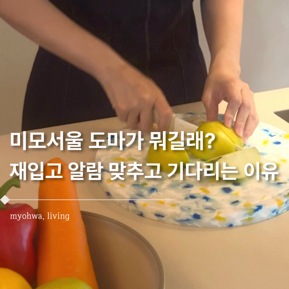 미모서울 도마가 뭐길래? 재입고 알람 맞추고 기다리는 이유 (솔직후기) : 네이버 블로그