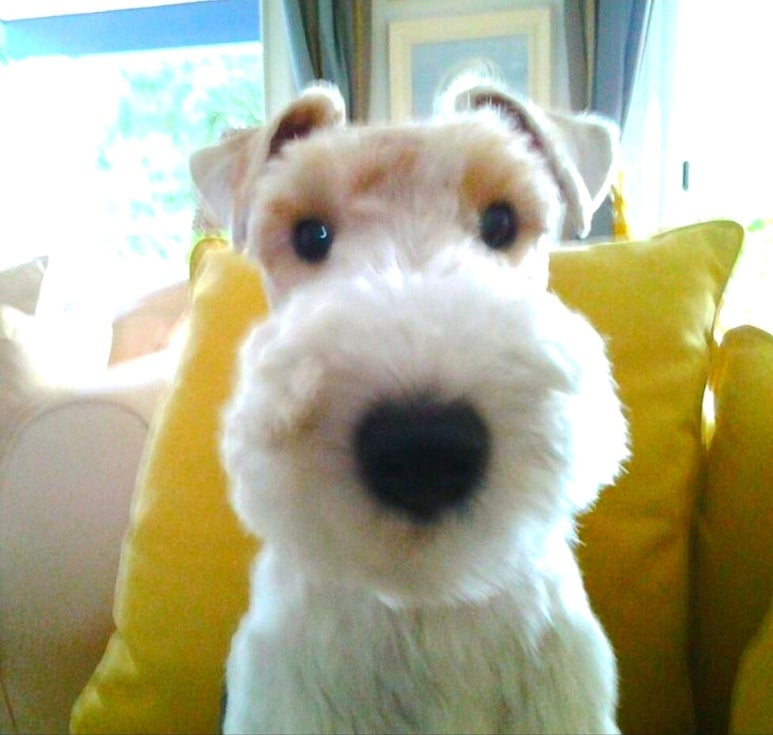 2026년 1월 26일 ~ 2월 1일 🍓일주일 운세🍓 : 네이버 블로그