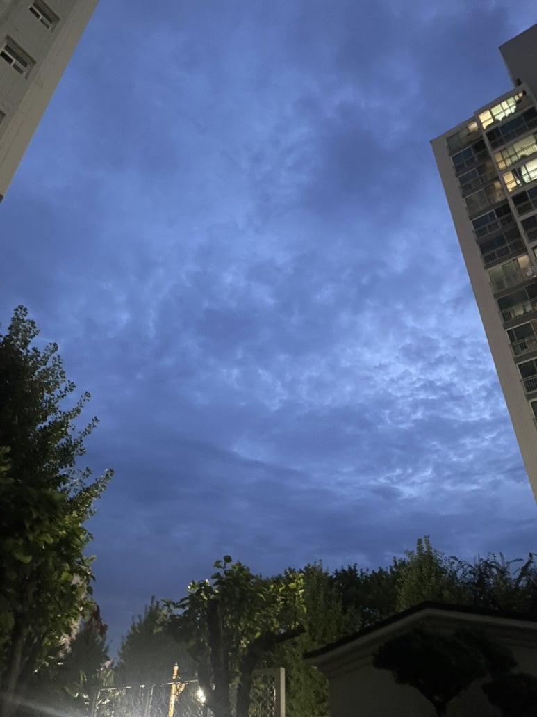 하루 벼락치기로 오픽 IH 받은 현실 후기 : 네이버 블로그