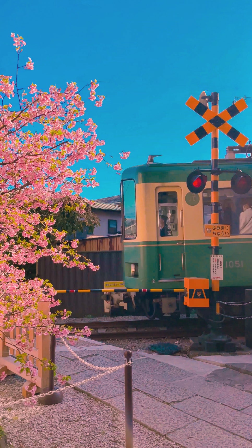 가마쿠라 여행 코스 당일치기 일정 총정리! 도쿄 근교 가볼만한 곳 추천 : 네이버 블로그