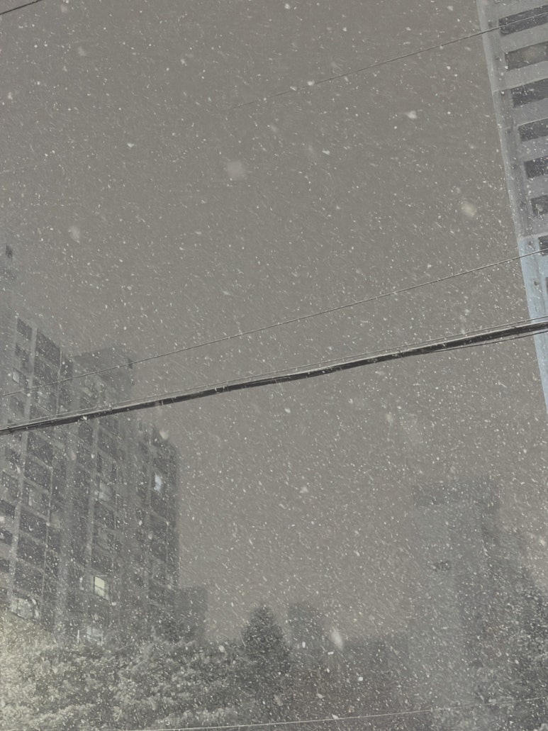 Diary, 오랜만에 스키키키 : 네이버 블로그