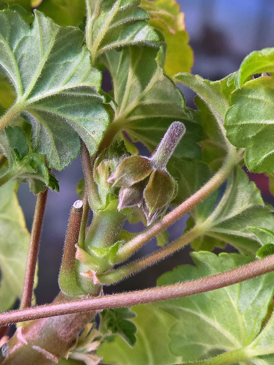 한번이라도 보고 싶다 ㅋ : 네이버 블로그