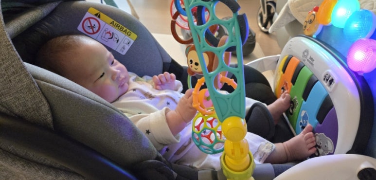 바구니카시트 언제까지 사용? 활용법과 주의할 점/ 3개월 실사용 후기 : 네이버 블로그